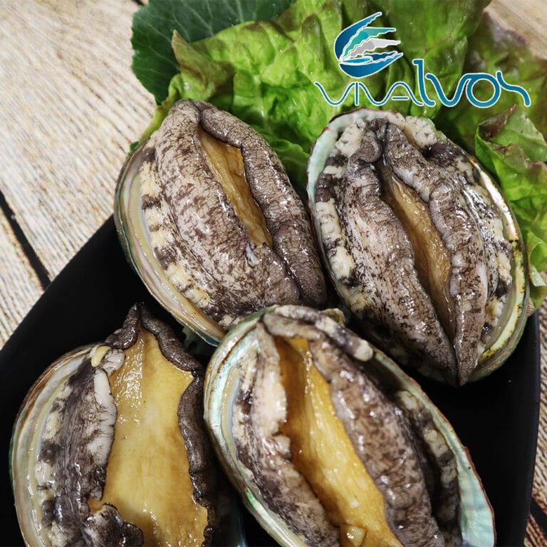 Abalones Vivos de Cultivo Kilo - Vivalvos